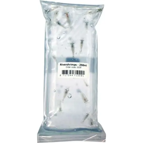 Aquadip Live River Shrimp Pouch (250ml) | Finest Aquatics