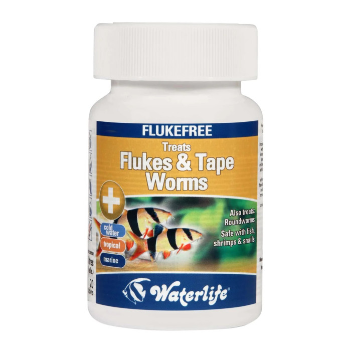 Waterlife FlukeFree 200 Tabs | Finest Aquatics
