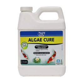 API Pond Algae Cure 946ml | Finest Aquatics